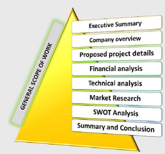Business Consultancy:DPR Report,TEV Report,LIE Report,Debt Syndication